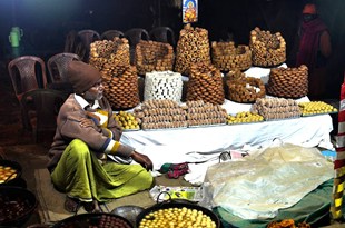 Jaydev Kenduli Mela | Travel Blog